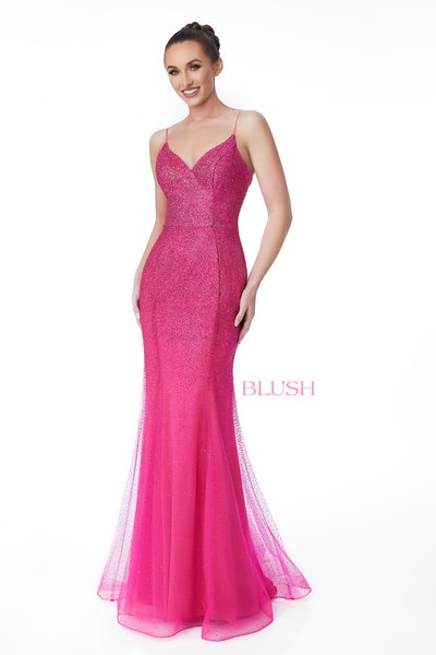 Blush Prom - Prom Dresses and Evening Gowns by Alexia Designs